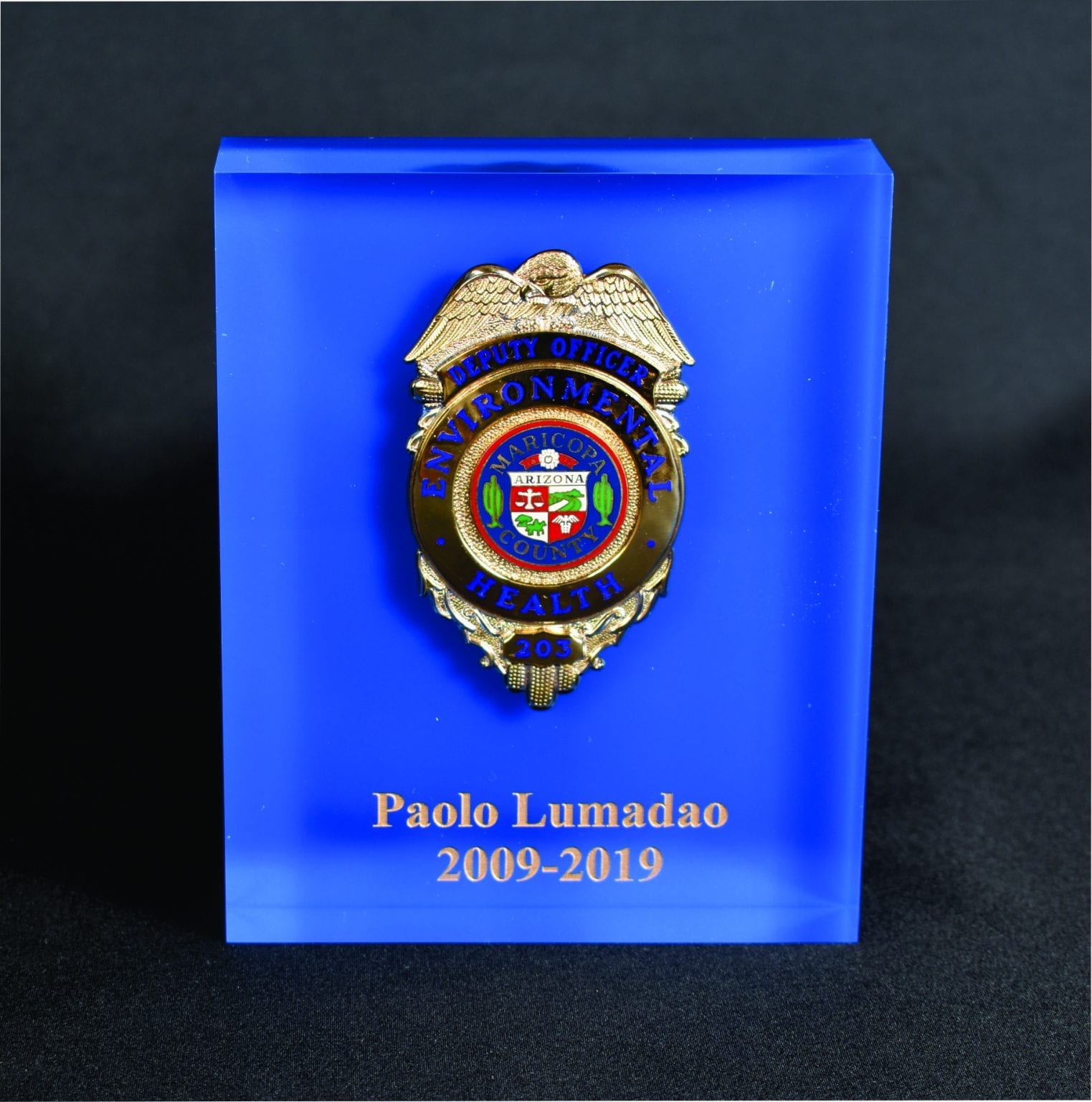 Custom Shaped Lucite Embedment - Acrylic Warehouse