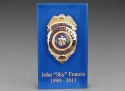 Lucite® Badge Embedments - Acrylic Warehouse