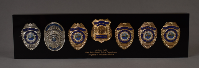 Lucite® Badge Embedments - Acrylic Warehouse
